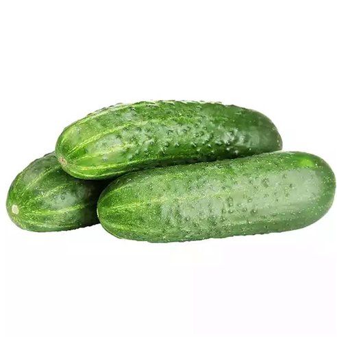 Local Cucumber 1 Kg